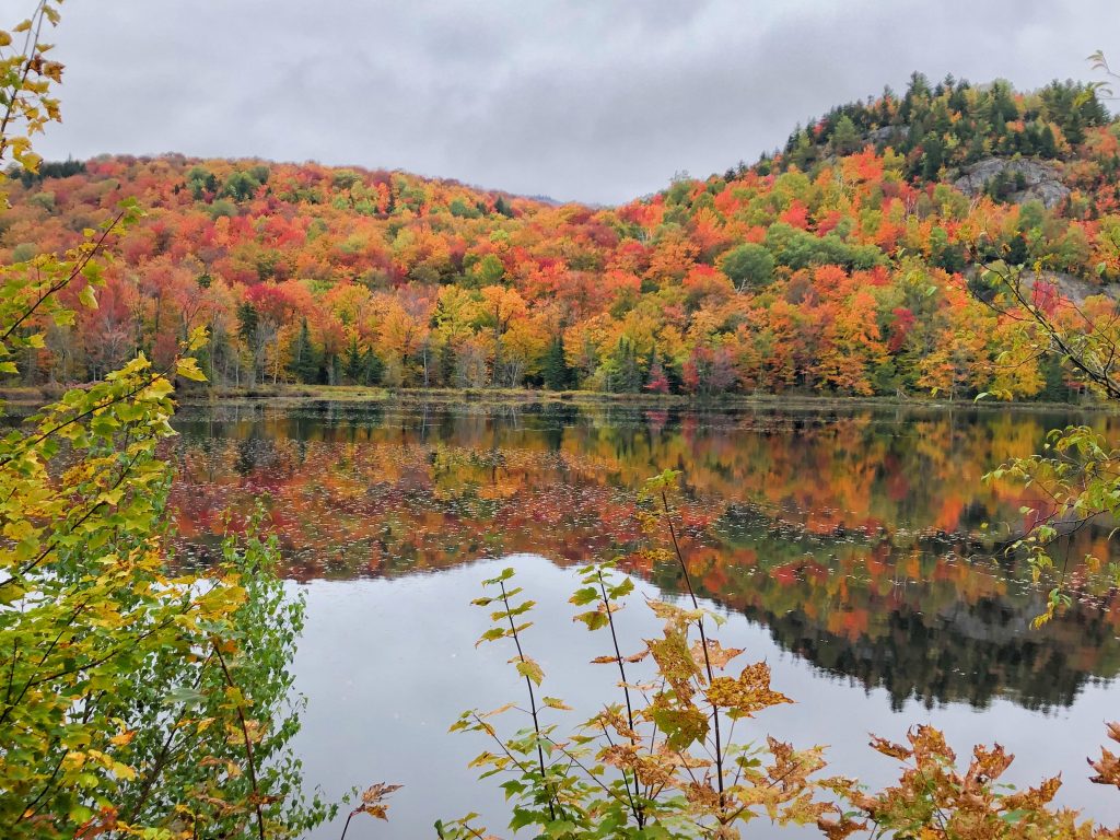 Les incontournables de l'automne au Québec 🍁 | Off to Montréal