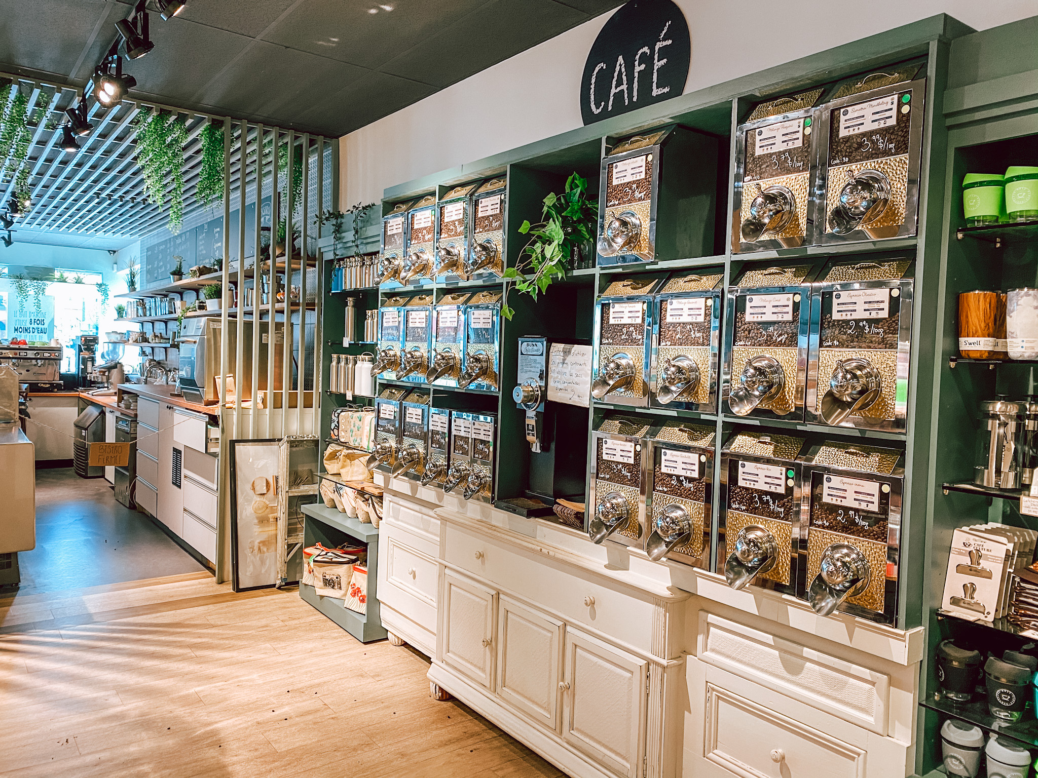 À la découverte de la Promenade Masson dans Rosemont 🛍 | Off to Montréal