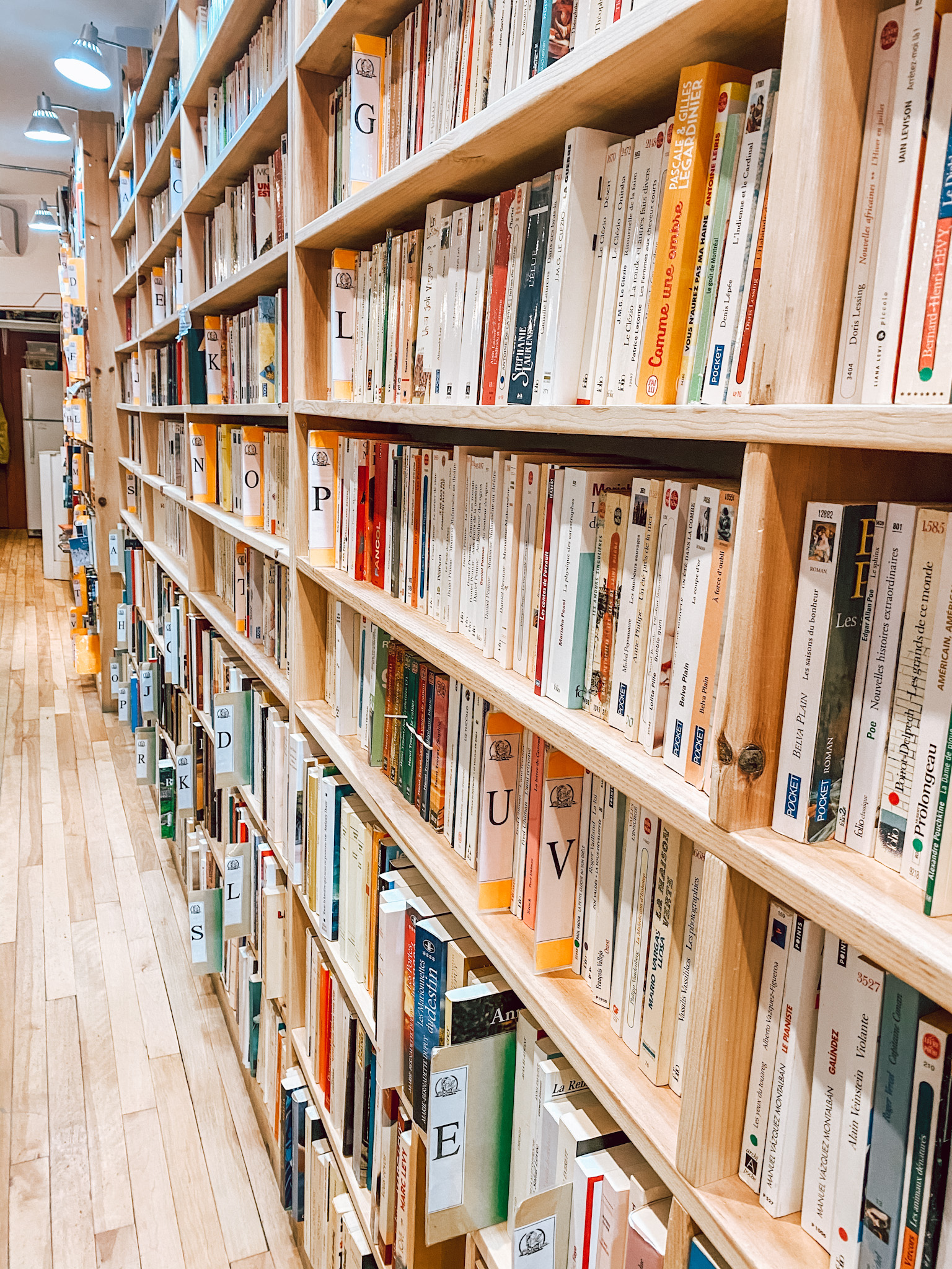À la découverte de la Promenade Masson dans Rosemont 🛍 | Off to Montréal