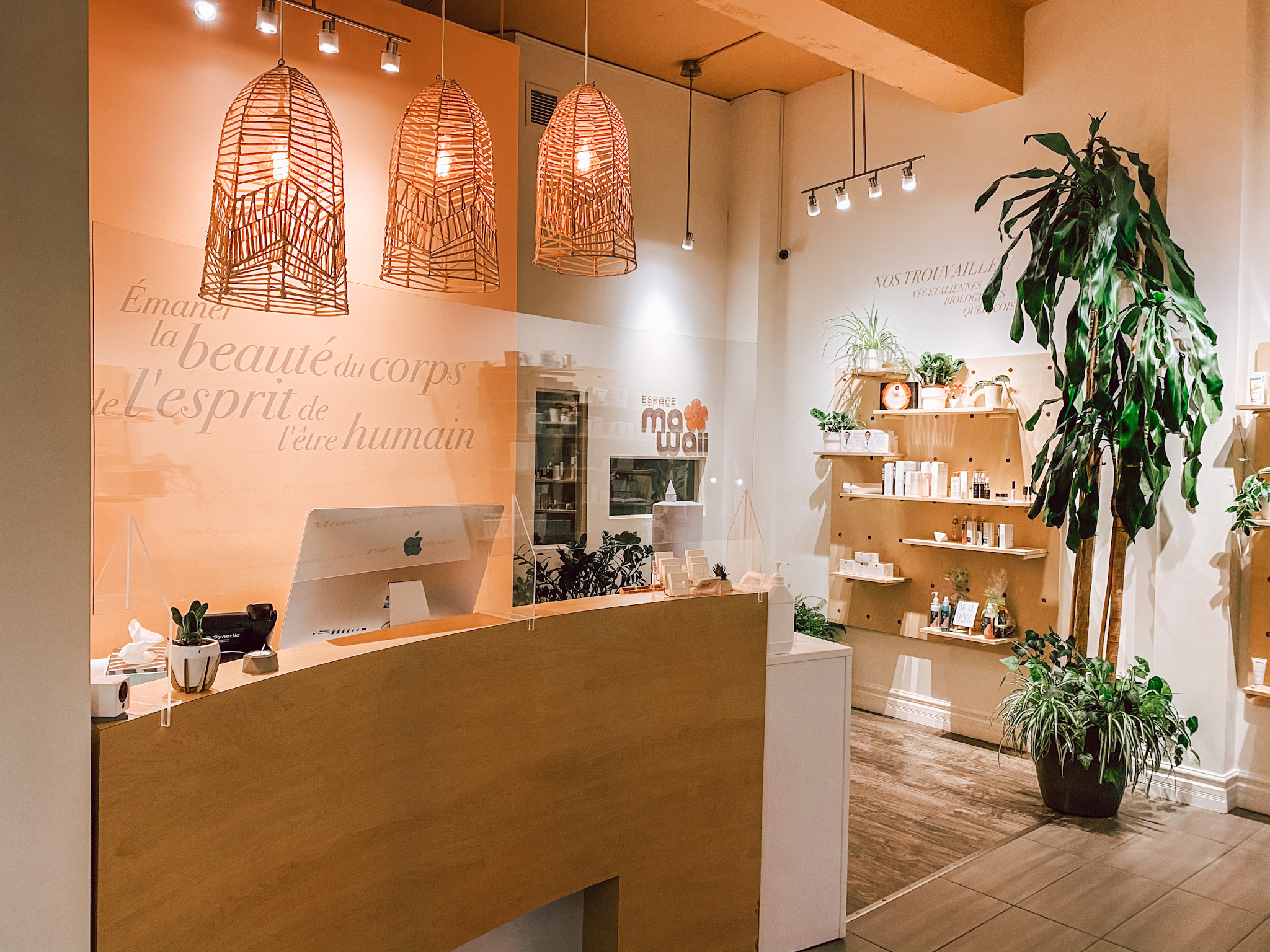 À la découverte de la Promenade Masson dans Rosemont 🛍 | Off to Montréal